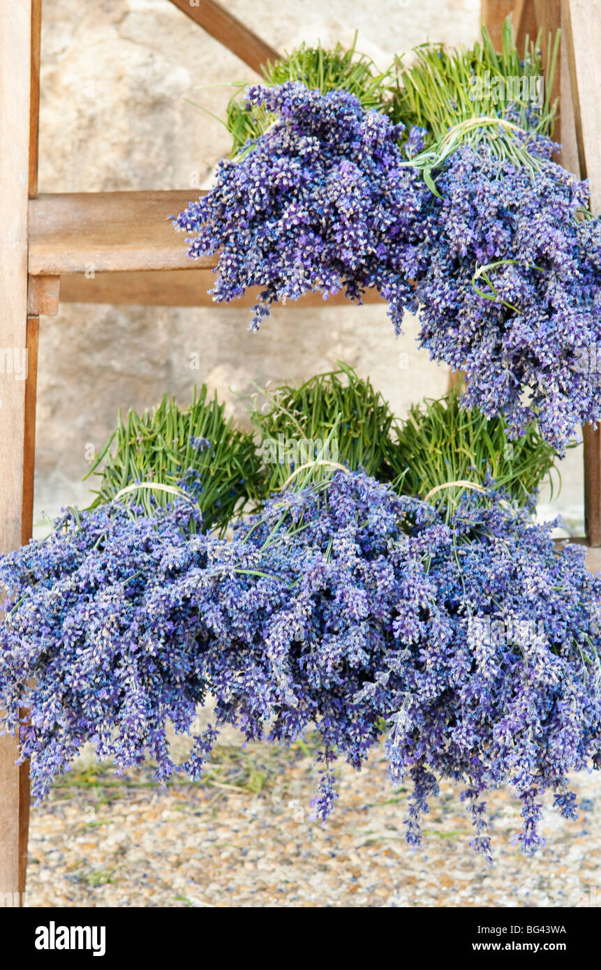 Provence shop lavender hi-res stock photography and images - Alamy