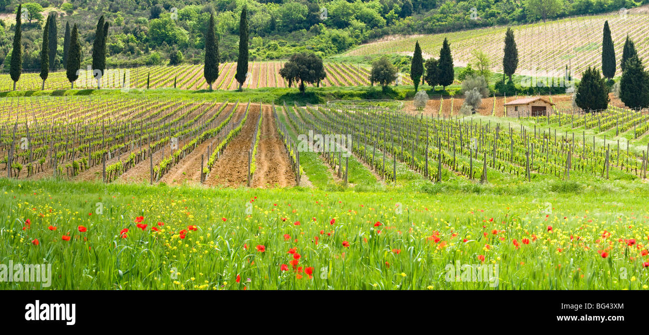 Tuscan landscapes hi-res stock photography and images - Alamy