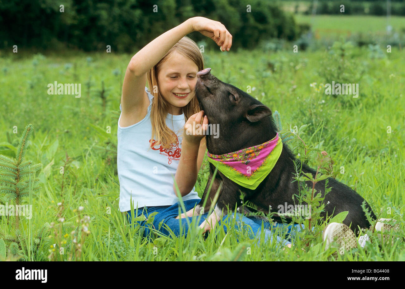 girl - playing with a Miniature pig Stock Photo - Alamy