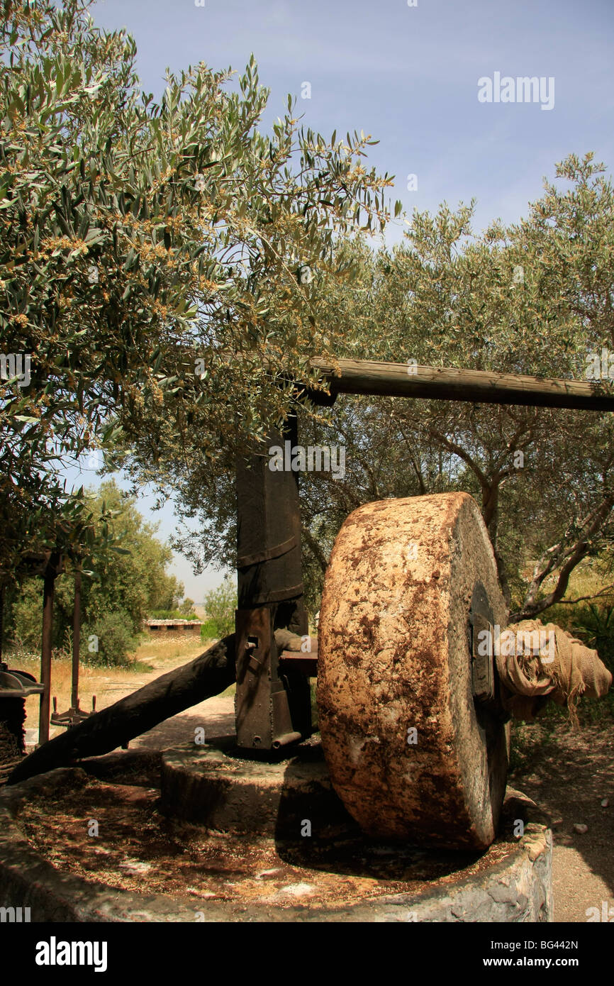 Israel, Shephelah. Ancient Olive press in Neot Kedumim, Biblical ...