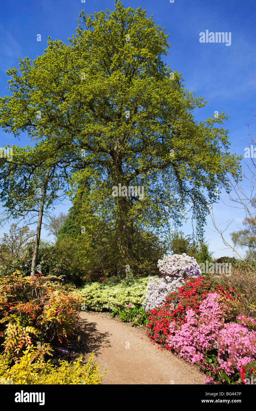 Wakehurst place hi-res stock photography and images - Alamy