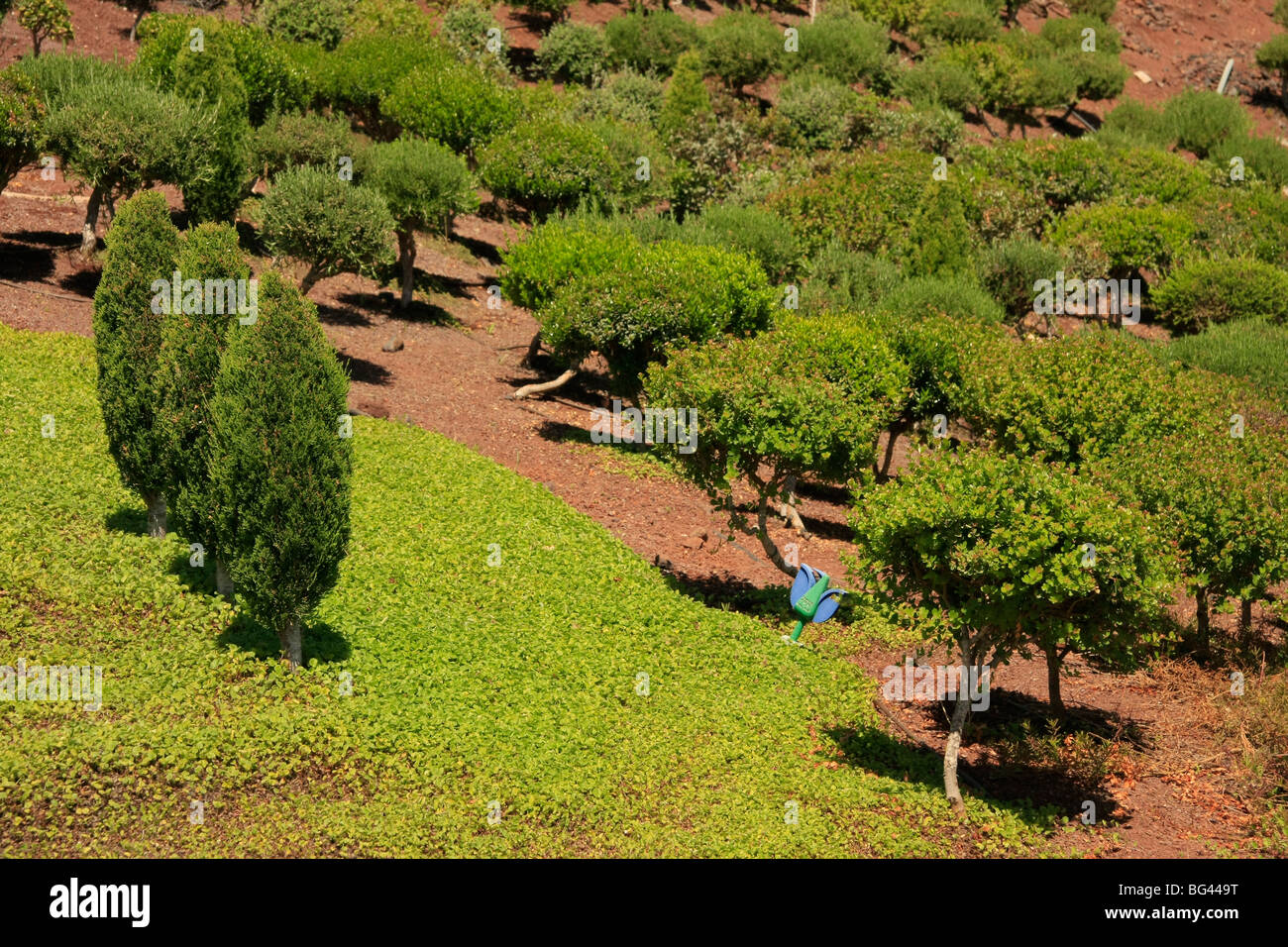 Israel, Shephelah. Mini Israel park in Ayalon valley Stock Photo - Alamy