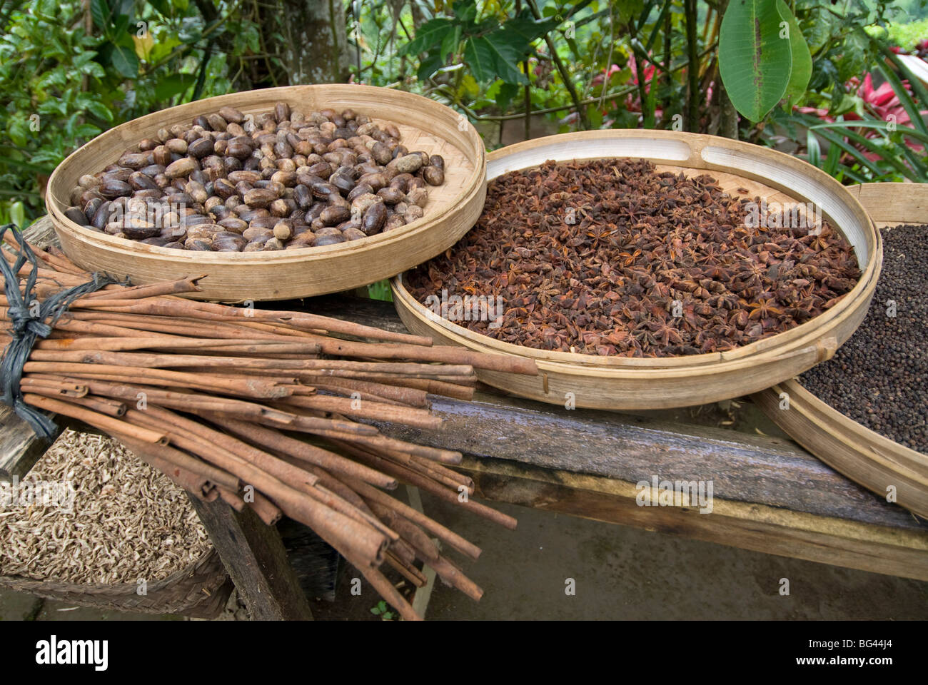 Balinese raw spices, Bali, Indonesia, Southeast Asia, Asia Stock Photo ...