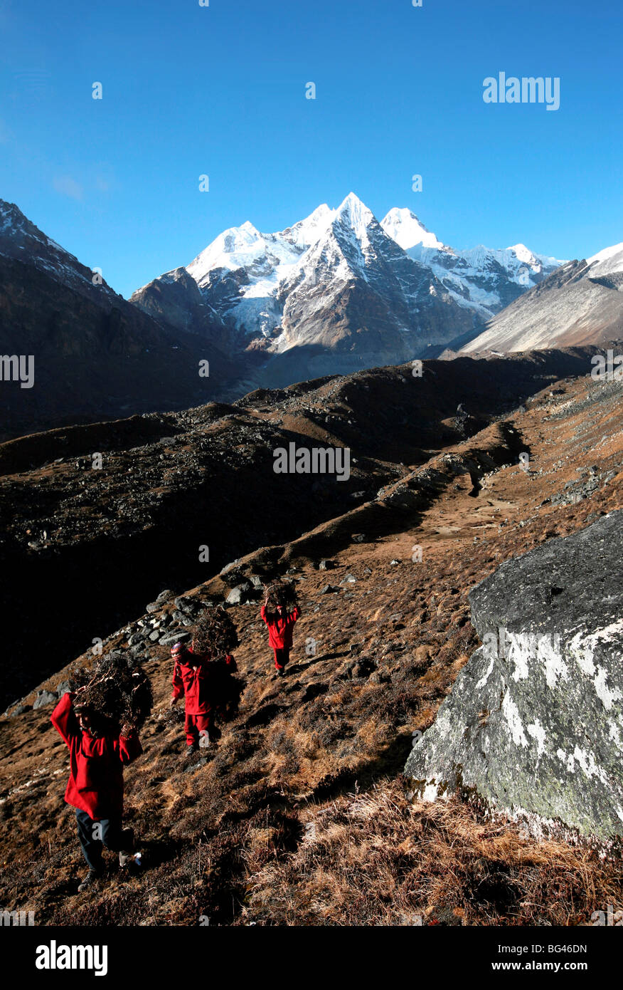 Three Buddhist monks carry firewood high above the mountain village of ...
