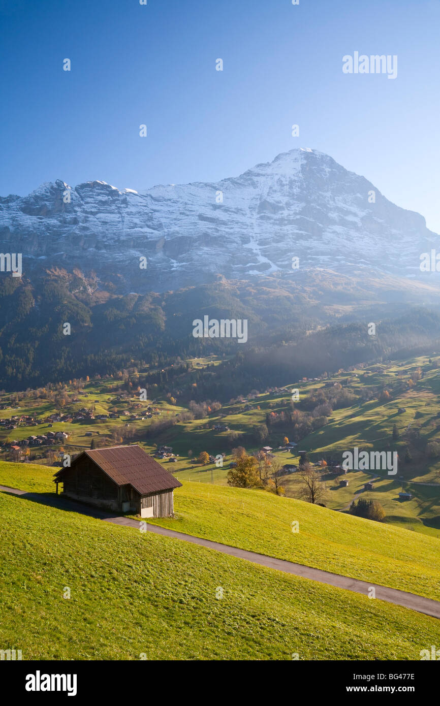 Alpine Meadow, Eiger & Grindelwald, Berner Oberland, Switzerland Stock ...