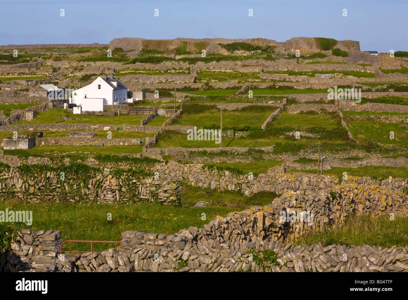 Dun Conor Castle, Inishmaan, Aran Islands, Co. Galway, Ireland Stock ...