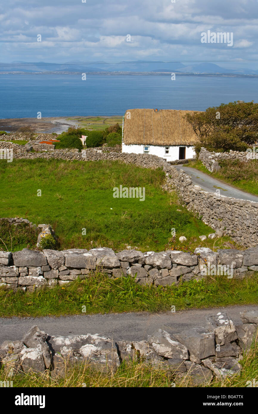 Traditional thatched roof cottage hi-res stock photography and images ...
