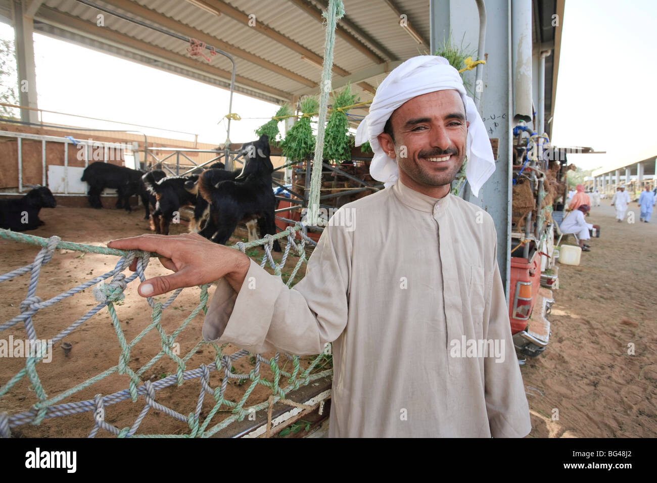 United Arab Emirates, Al Ain, livestock market Stock Photo - Alamy