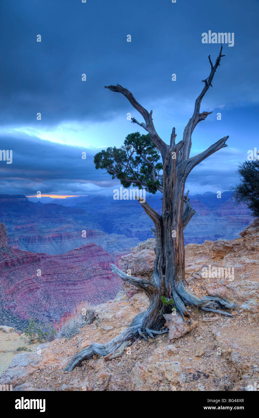 Grand canyon moran point hi-res stock photography and images - Alamy