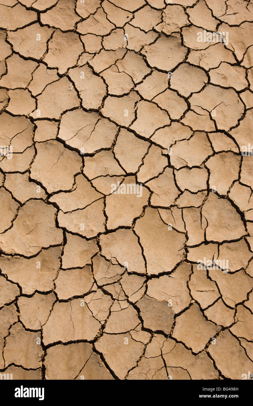 USA, California, Bombay Beach, Salton Sea area, dried lake bed Stock ...