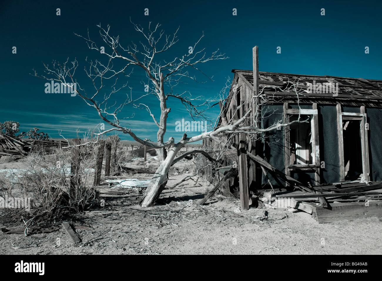 Cima california hi-res stock photography and images - Alamy