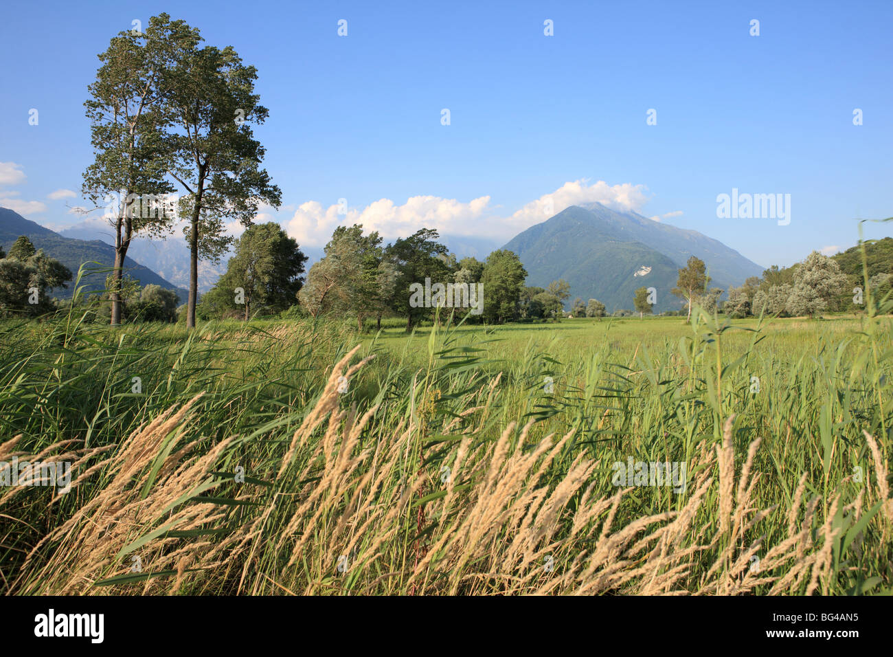 Countryside near Colico, Lombardy, Italy, Europe Stock Photo - Alamy