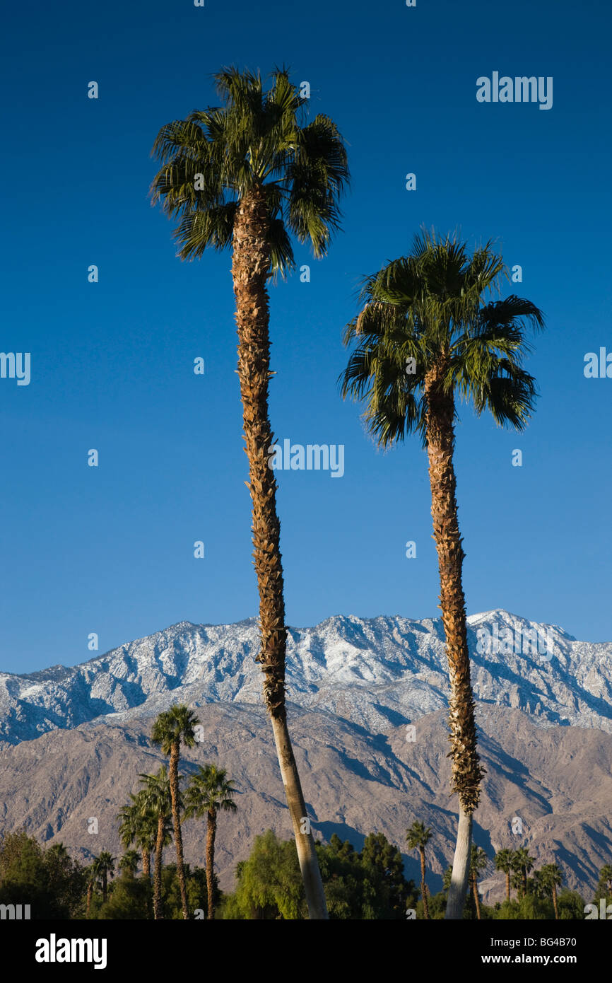 Desert princess hi-res stock photography and images - Alamy