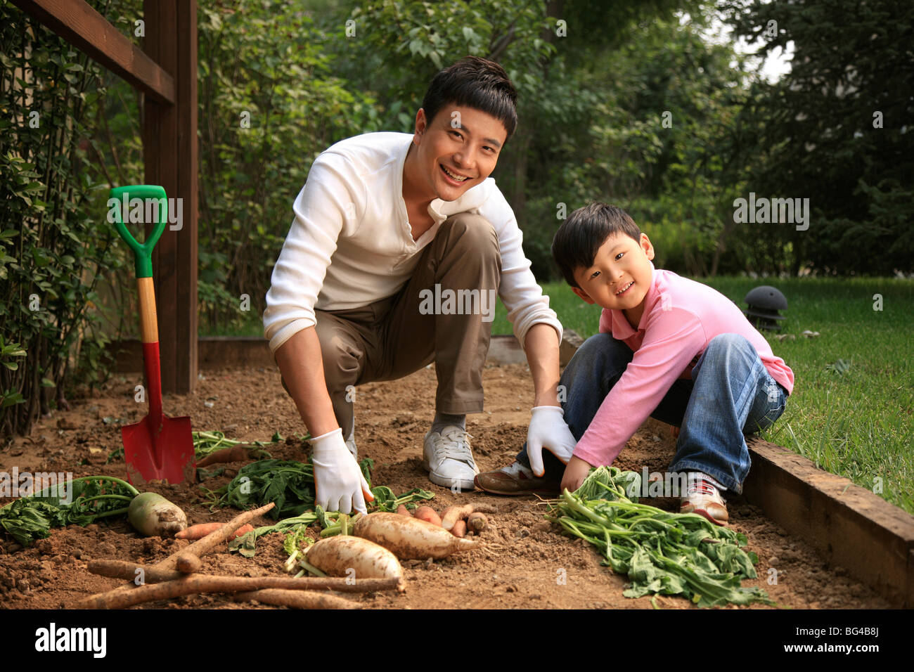 boy digging vegetables with his father Stock Photo - Alamy