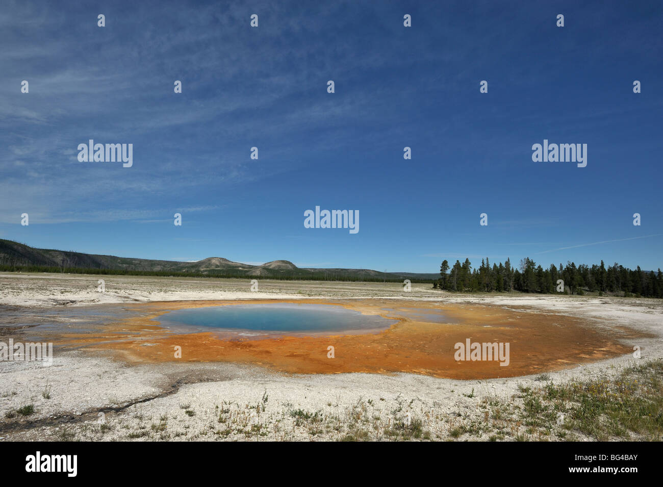 Hot spring in Yellowstone national park Stock Photo - Alamy