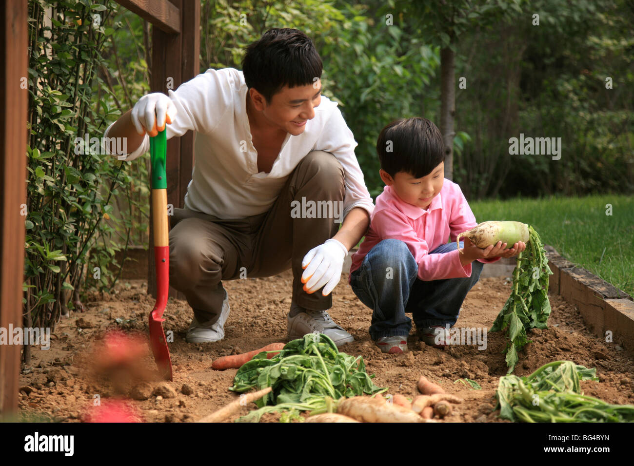 Child digging vegetables hi-res stock photography and images - Alamy