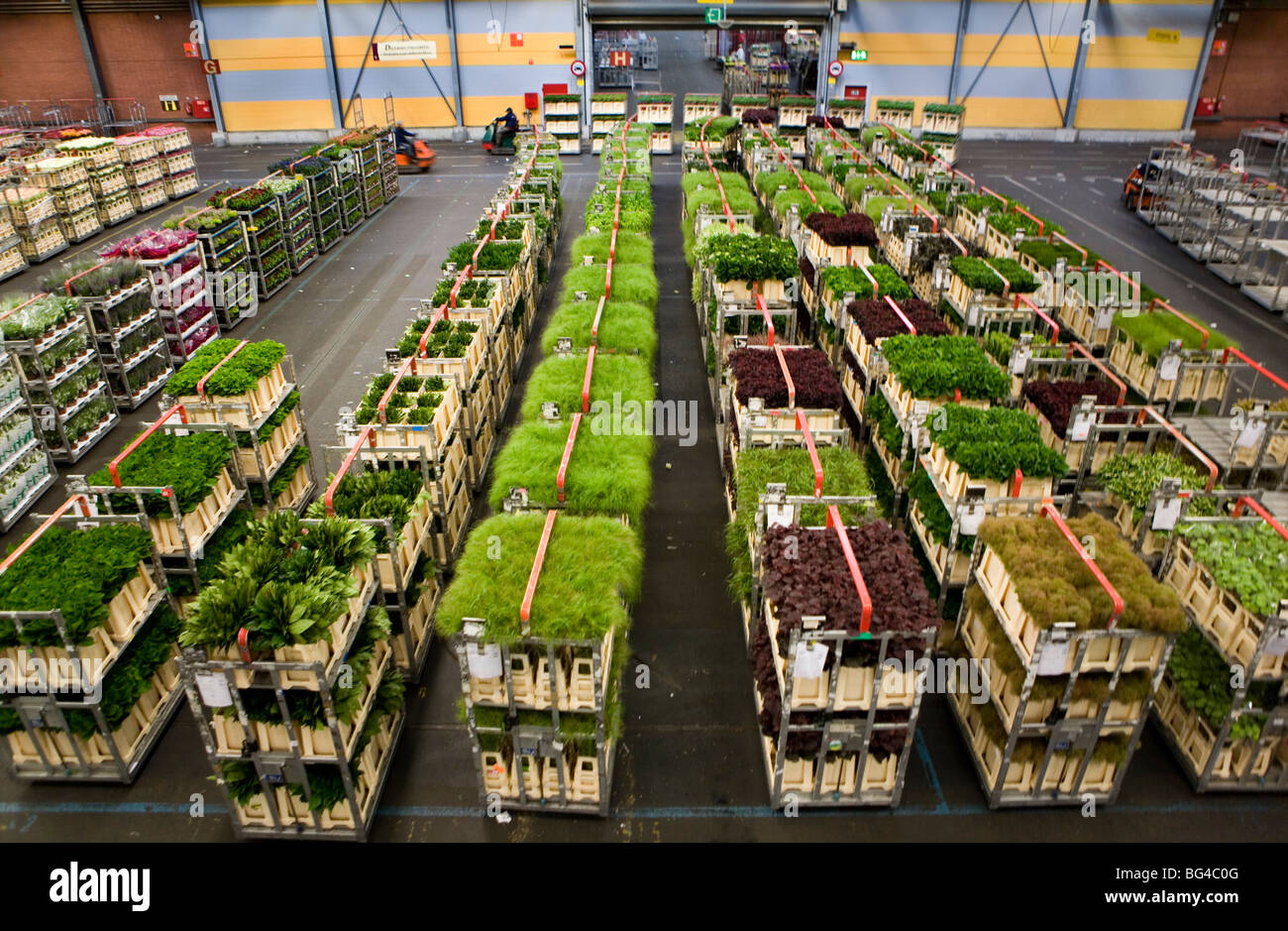 Dutch clock auction hi-res stock photography and images - Alamy