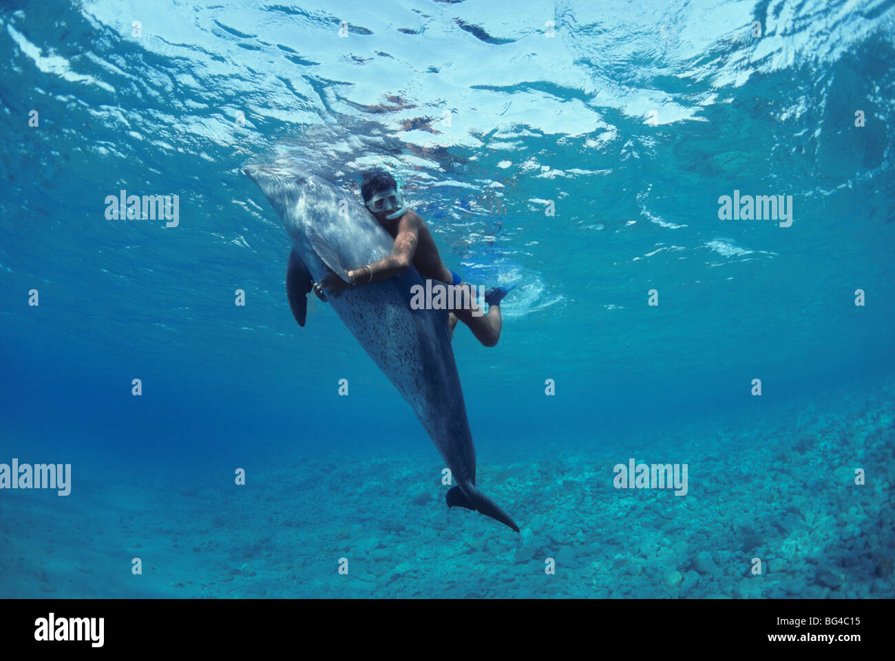 Man riding dolphin hi-res stock photography and images - Alamy