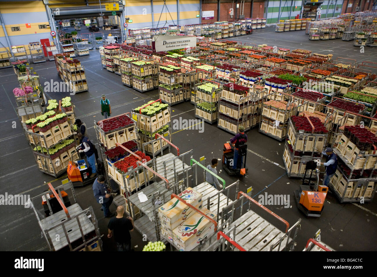 Aalsmeer Flower Auction Building High Resolution Stock Photography and ...