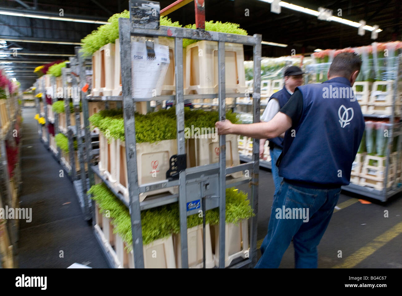 Dutch clock auction hi-res stock photography and images - Alamy