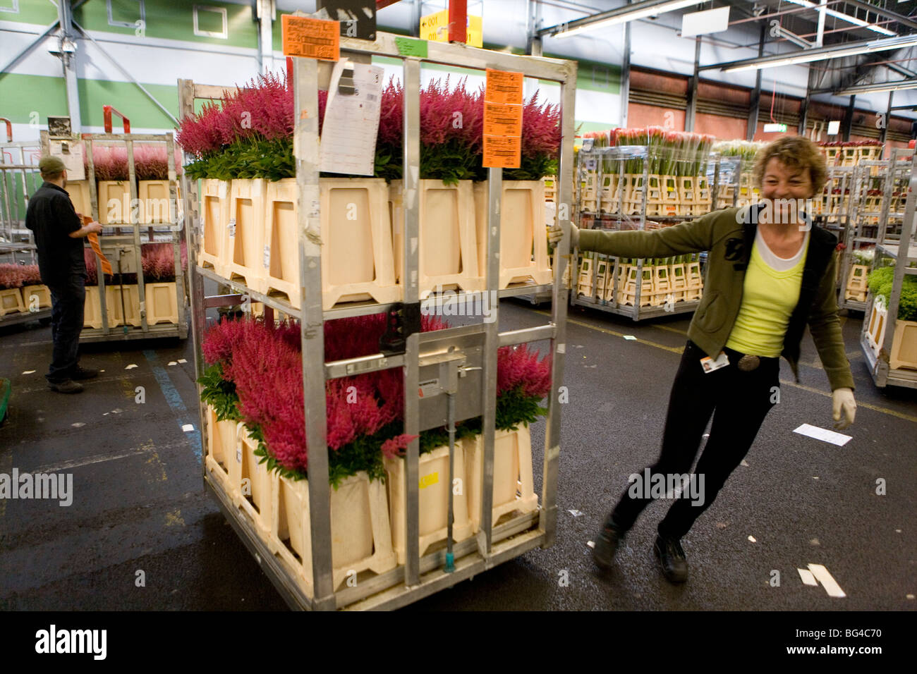 Aalsmeer flower auction building hi-res stock photography and images ...