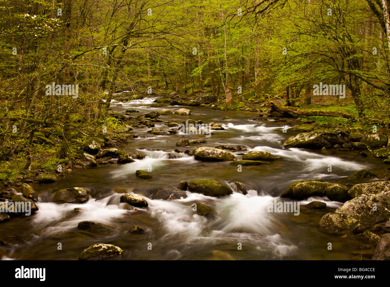 Stream in the Great Smoky Mountains National Park Stock Photo - Alamy