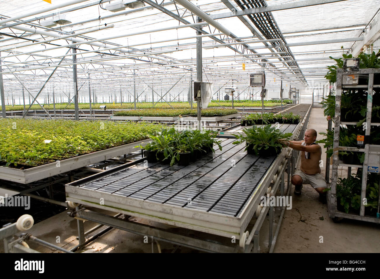 Dutch clock auction hi-res stock photography and images - Alamy