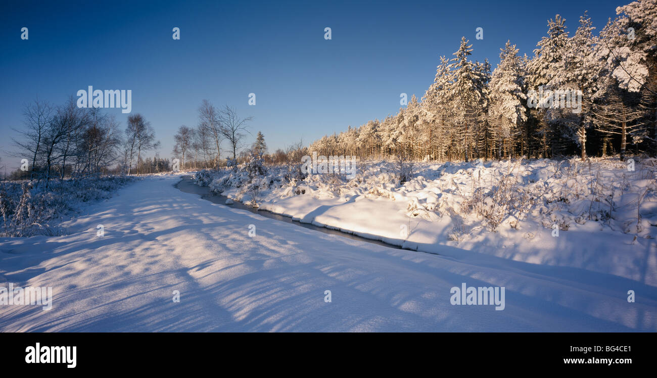 Tidenham High Resolution Stock Photography and Images - Alamy