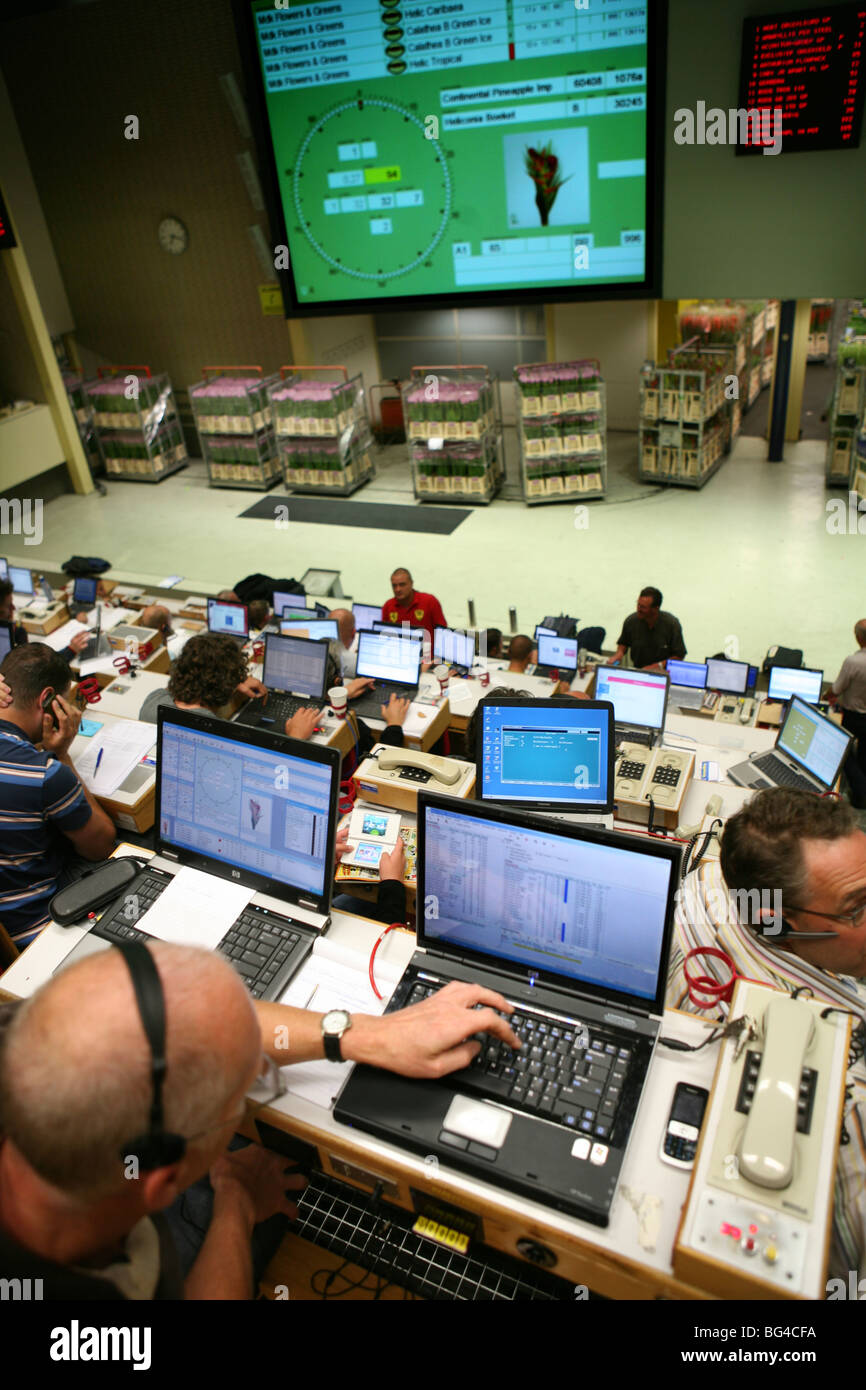 Flower auction in Aalsmeer, a cooperative of 6000 (flower) farmers in ...