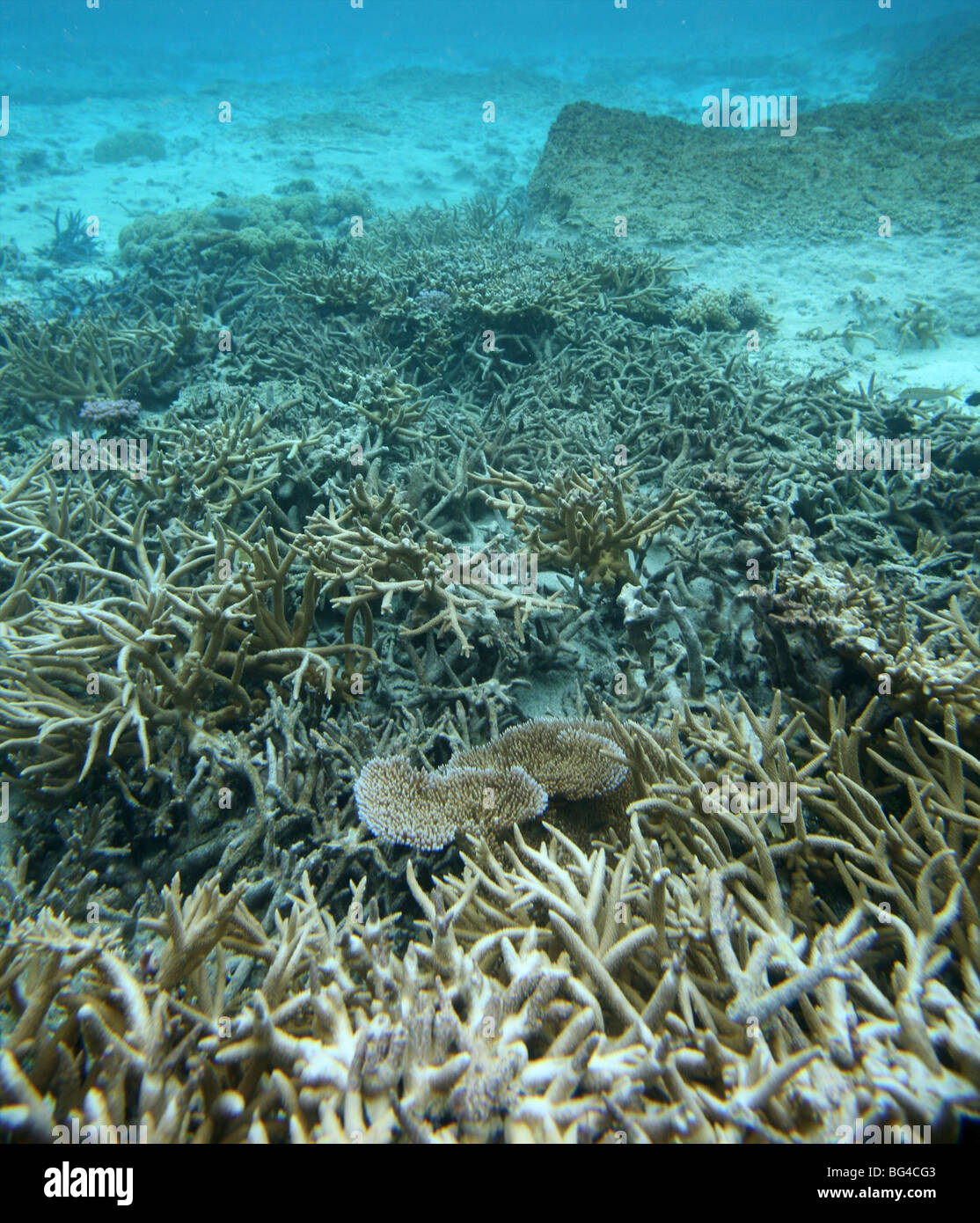Tuvalu island in the pacific ocean threatens to disappear in the next ...