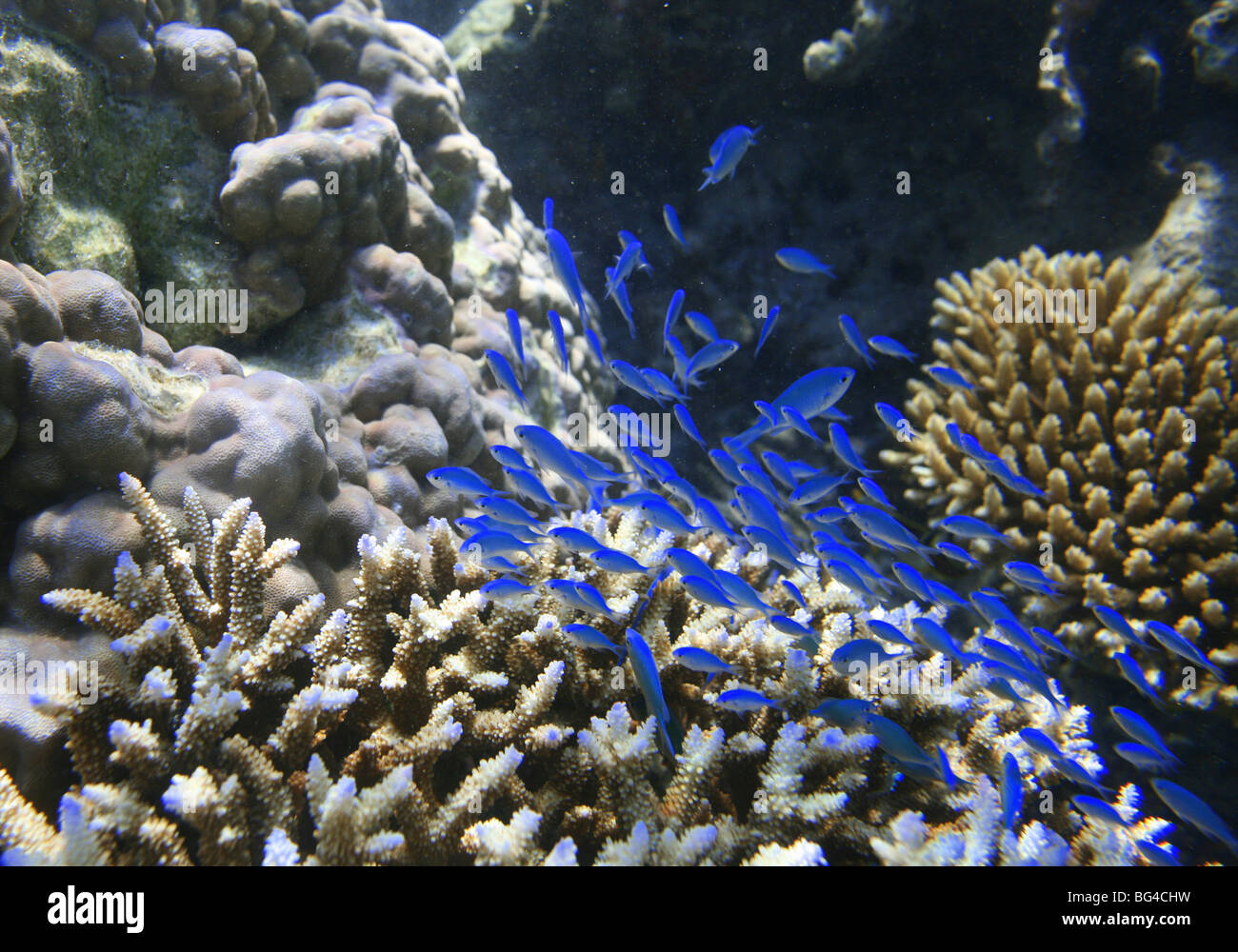 Tuvalu climate hi-res stock photography and images - Alamy