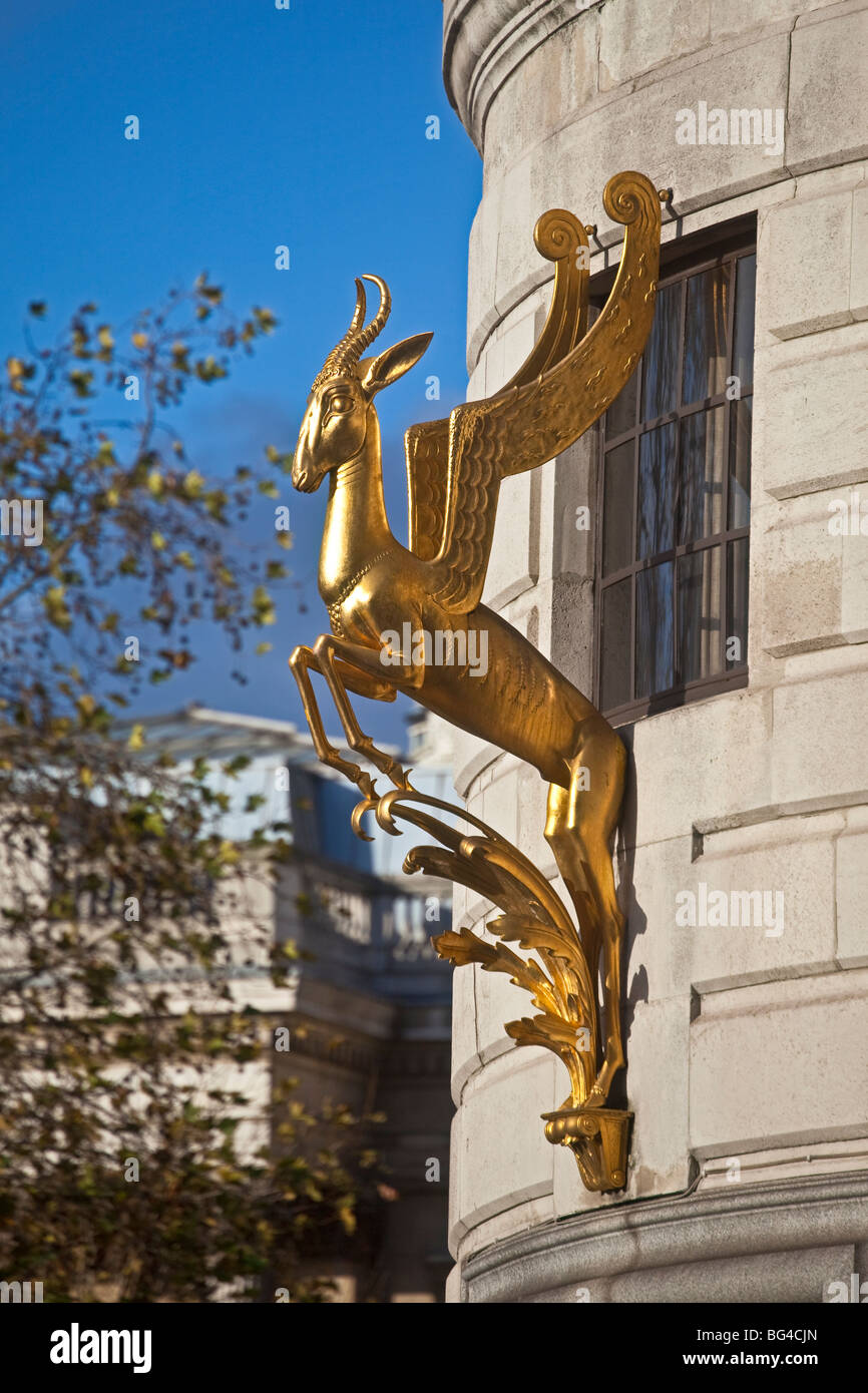 London ; Trafalgar Square ; Springbok emblem at South Africa House ...