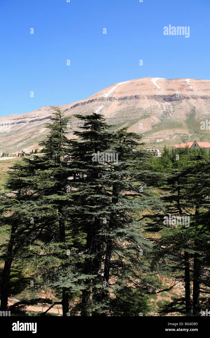 Qadisha valley unesco hi-res stock photography and images - Alamy