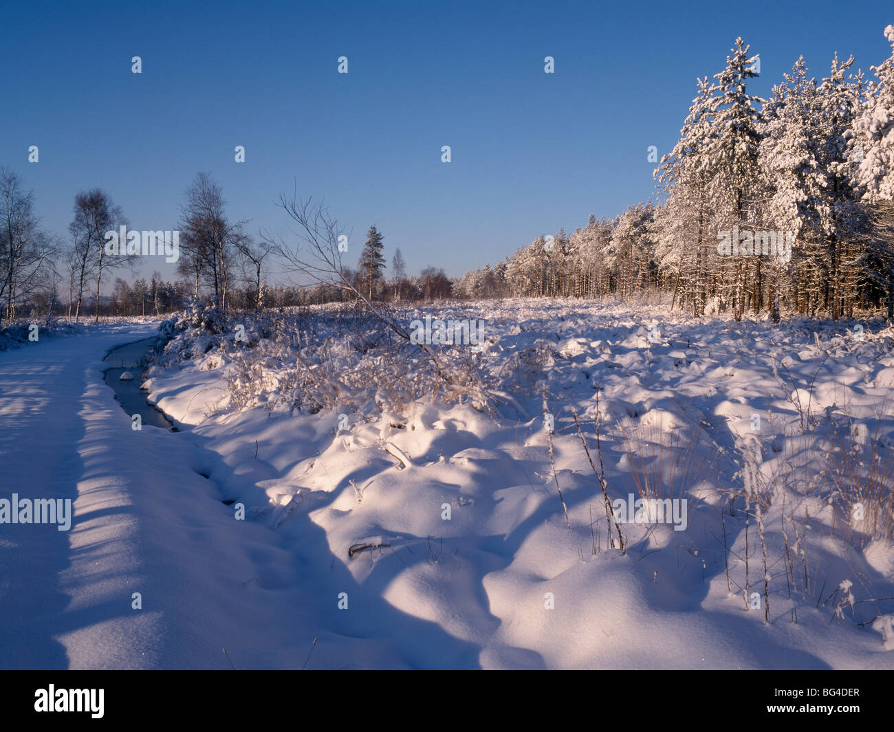 Tidenham High Resolution Stock Photography and Images - Alamy