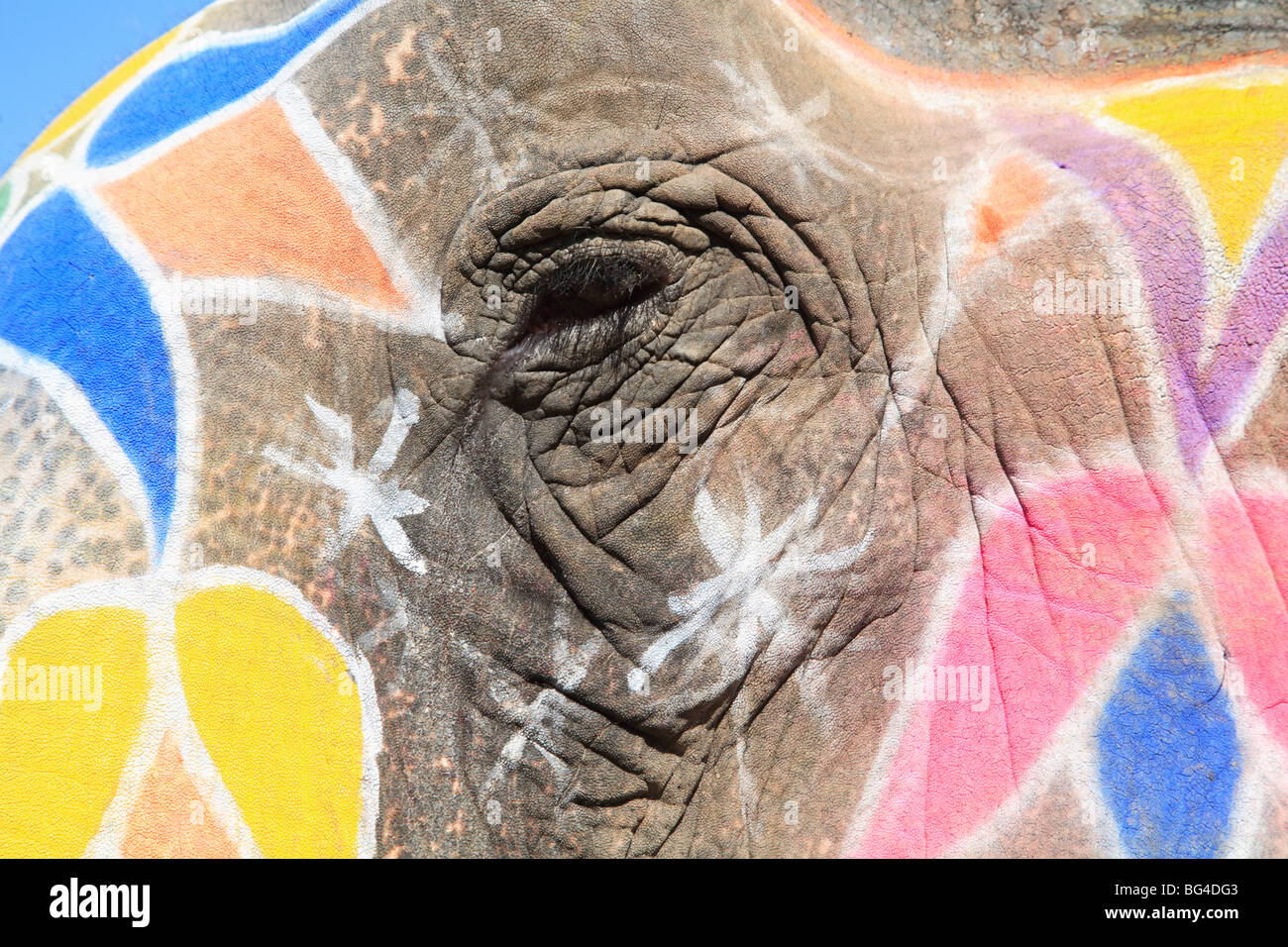 Painted elephant, Amber Fort Palace, Jaipur Rajasthan, India, Asia ...