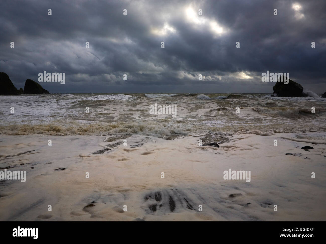 Ballydowane beach copper coast geopark hi-res stock photography and ...
