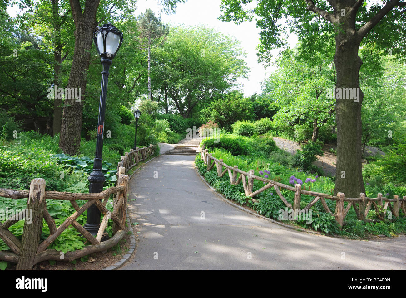 The Ramble Central Park