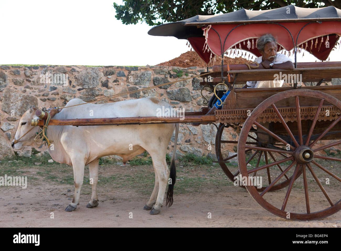 Old wooden ox cart hi-res stock photography and images - Alamy