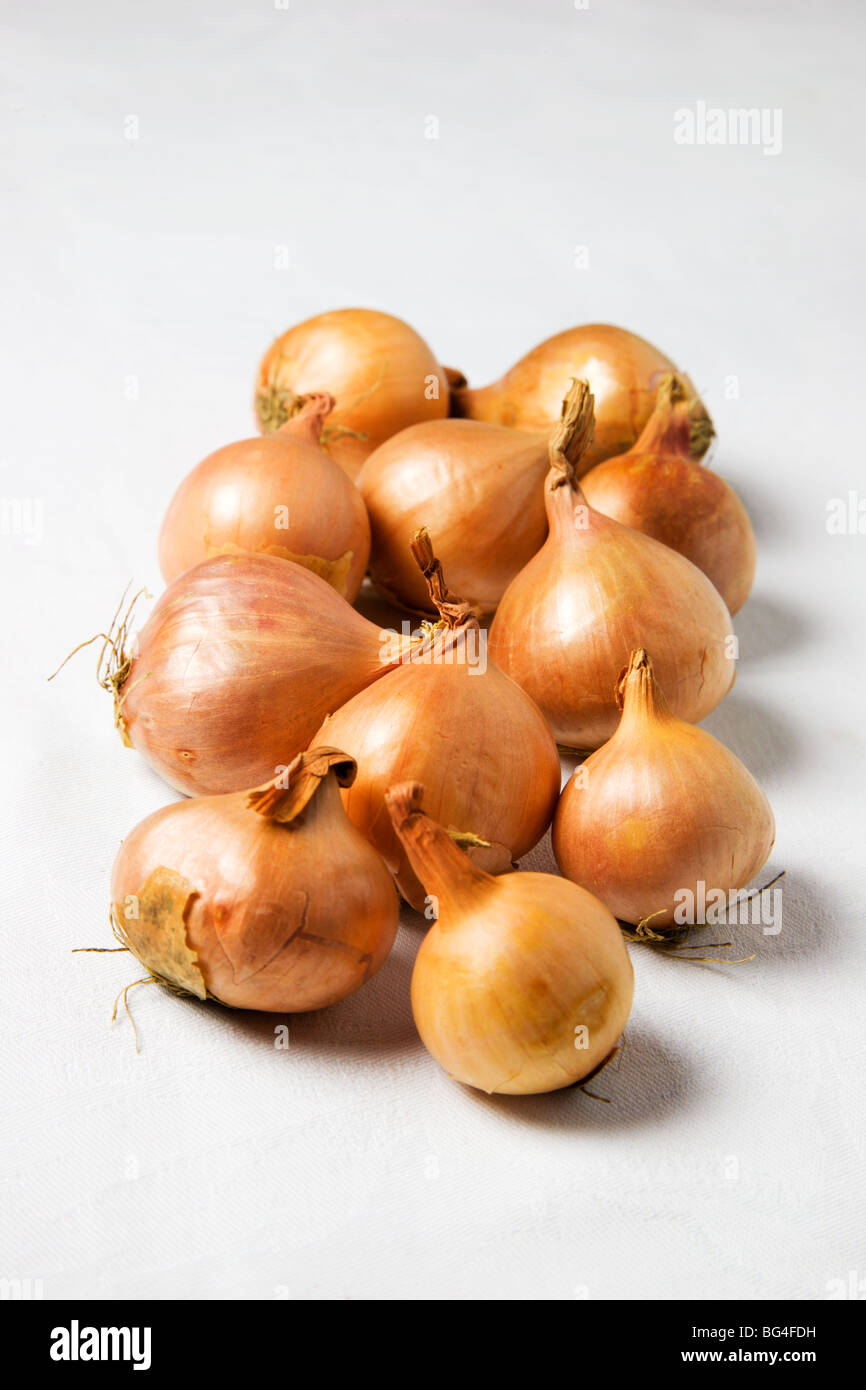 Shallots on a White Background Stock Photo - Alamy