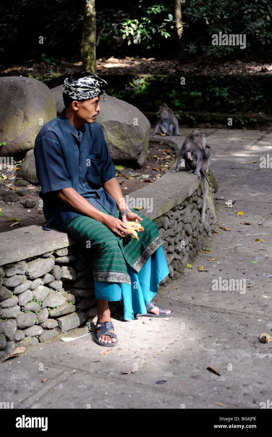 Monkey guard in The Sacred Monkey Sanctuary forest in Ubud, Bali ...
