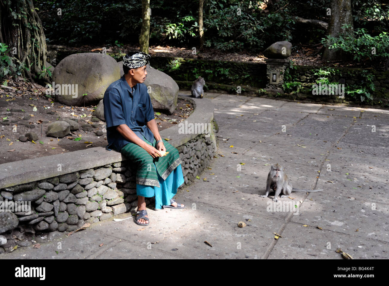 Monkey guard hi-res stock photography and images - Alamy