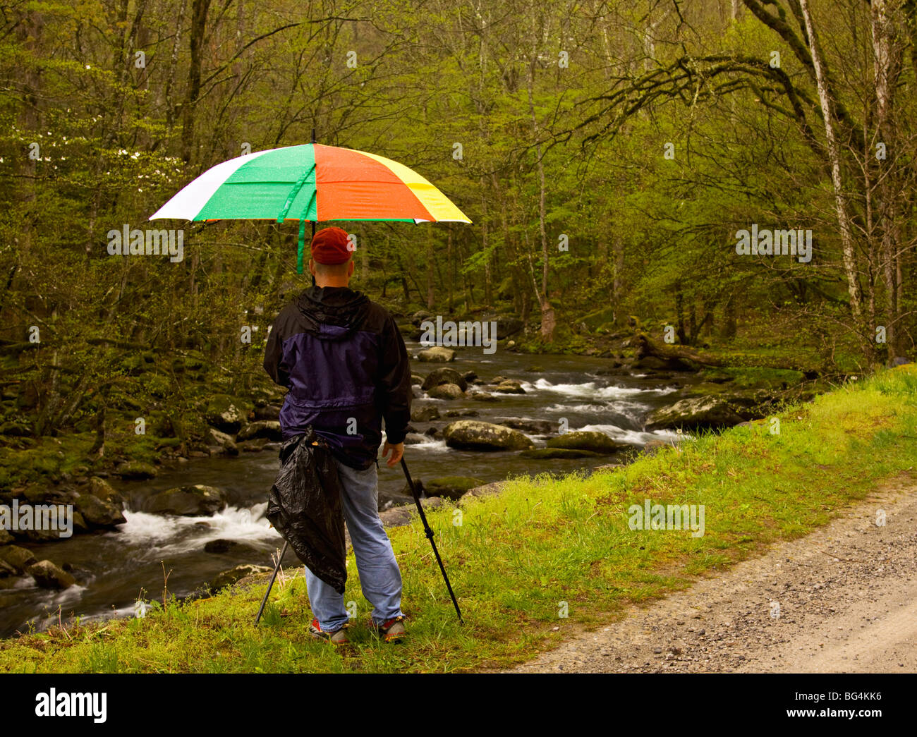 Man holding a colorful umbrella is taking pictures of a stream in the ...