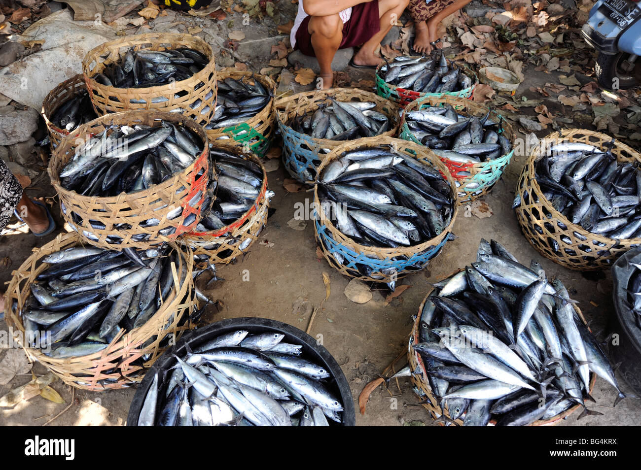 Traditional fish market in Ujung fishing harbour near Amlapura, Bali ...