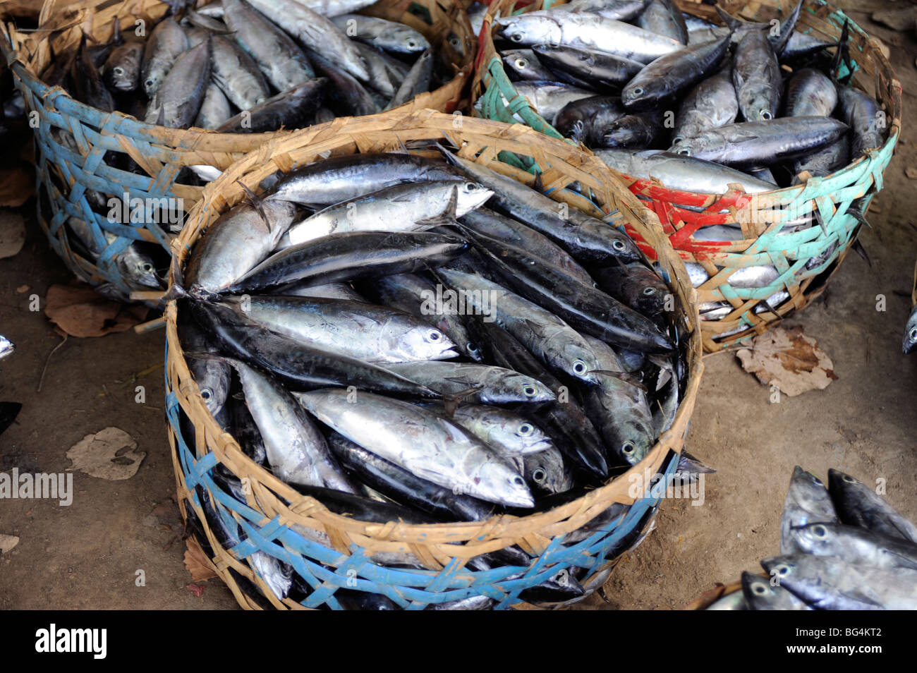 Traditional fish market in Ujung fishing harbour near Amlapura, Bali ...