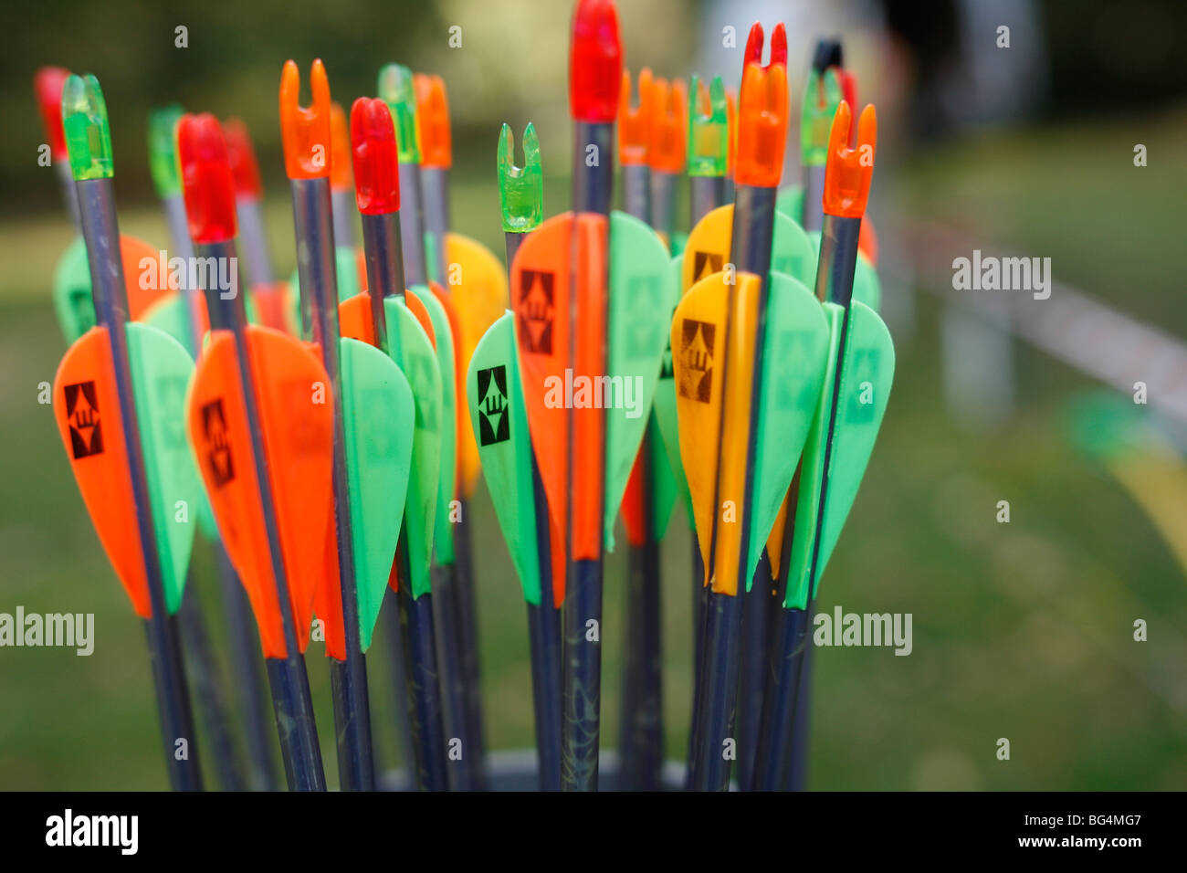 Sherwood Forest. arrows waiting for archers to fire them Stock Photo ...