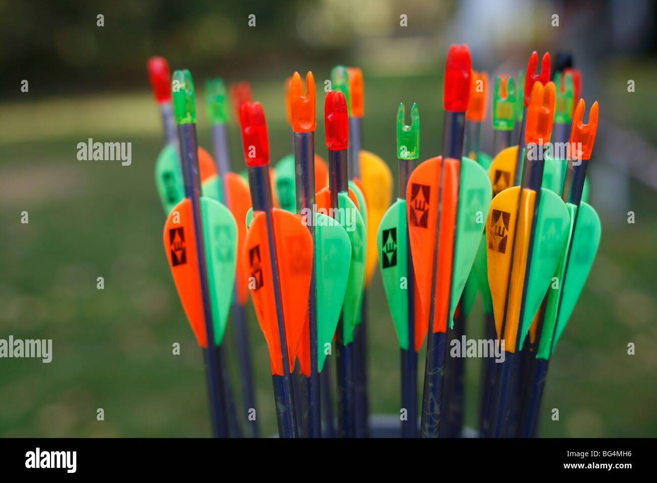 Sherwood Forest. arrows waiting for archers to fire them Stock Photo ...