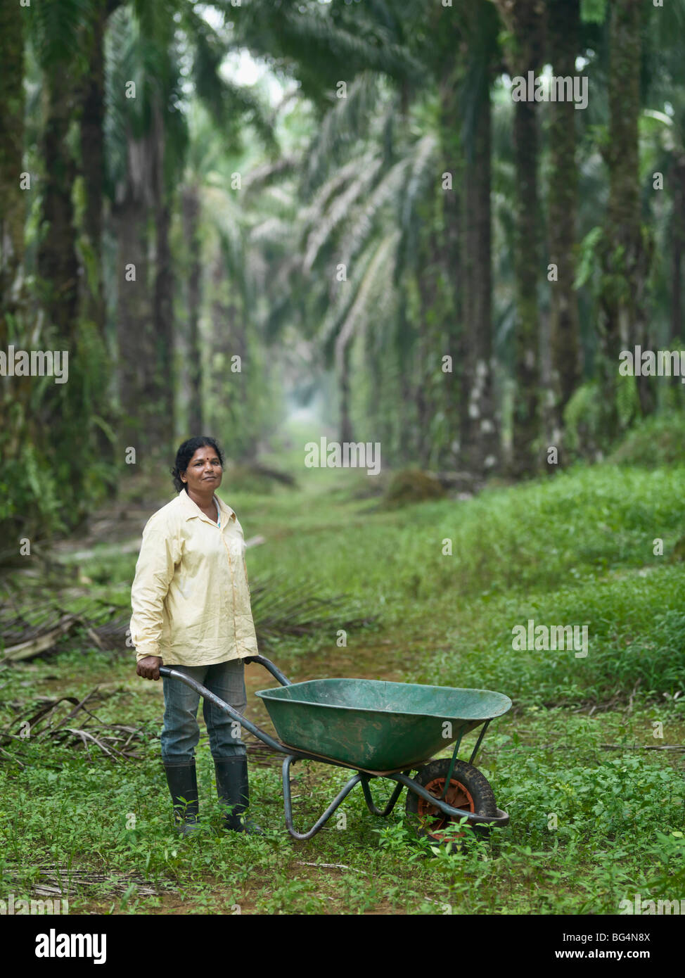 A portrait of a farm worker on a palm tree plantation with a ...