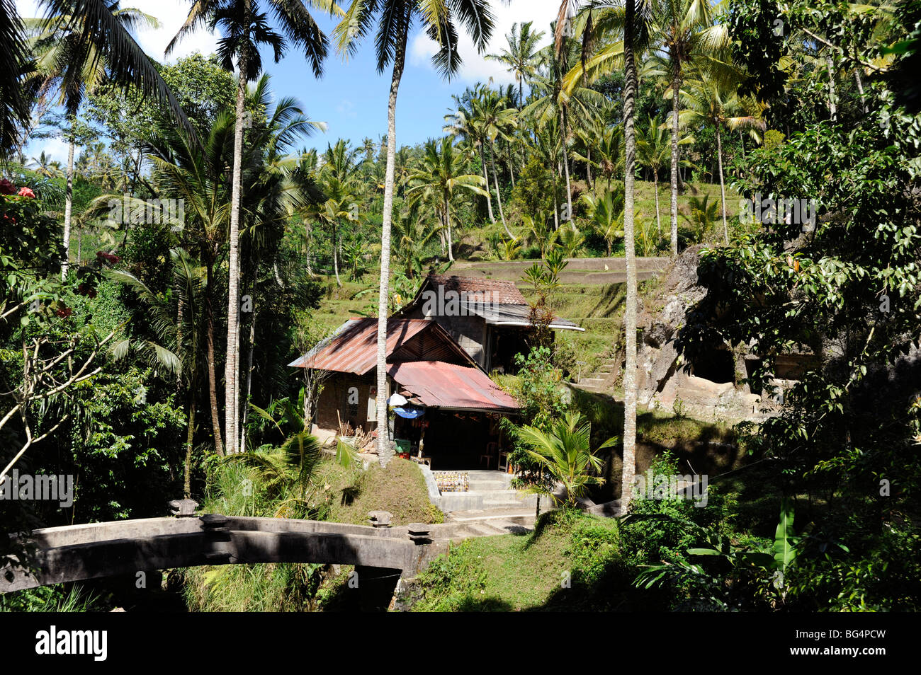Terrace rice fields at the entrance to Gunung Kawi Temples ...