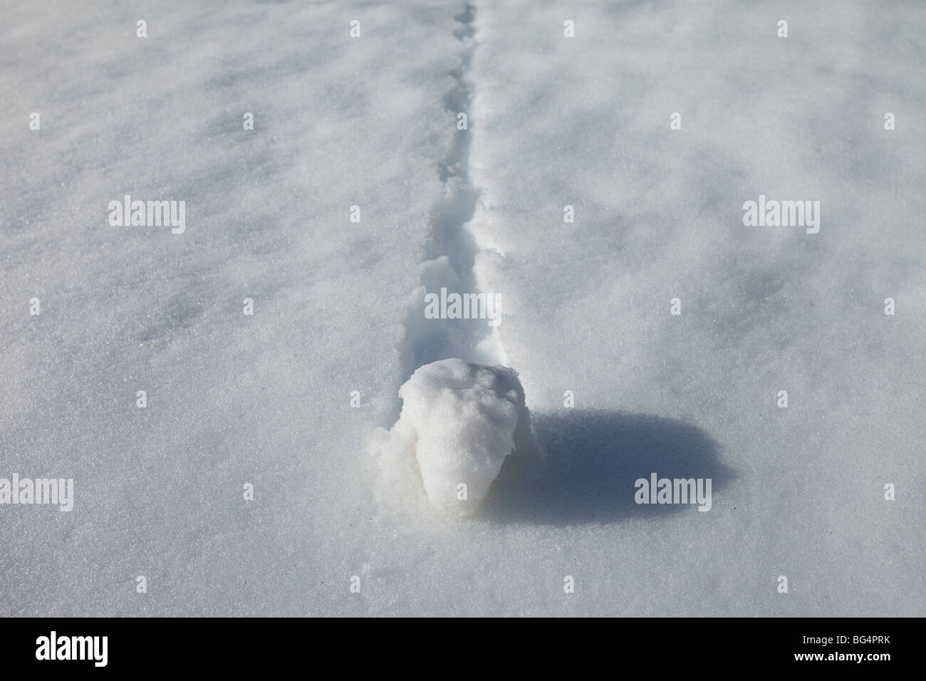 A snowball rests at the bottom of a snowy slope atop Hurricane Ridge in ...