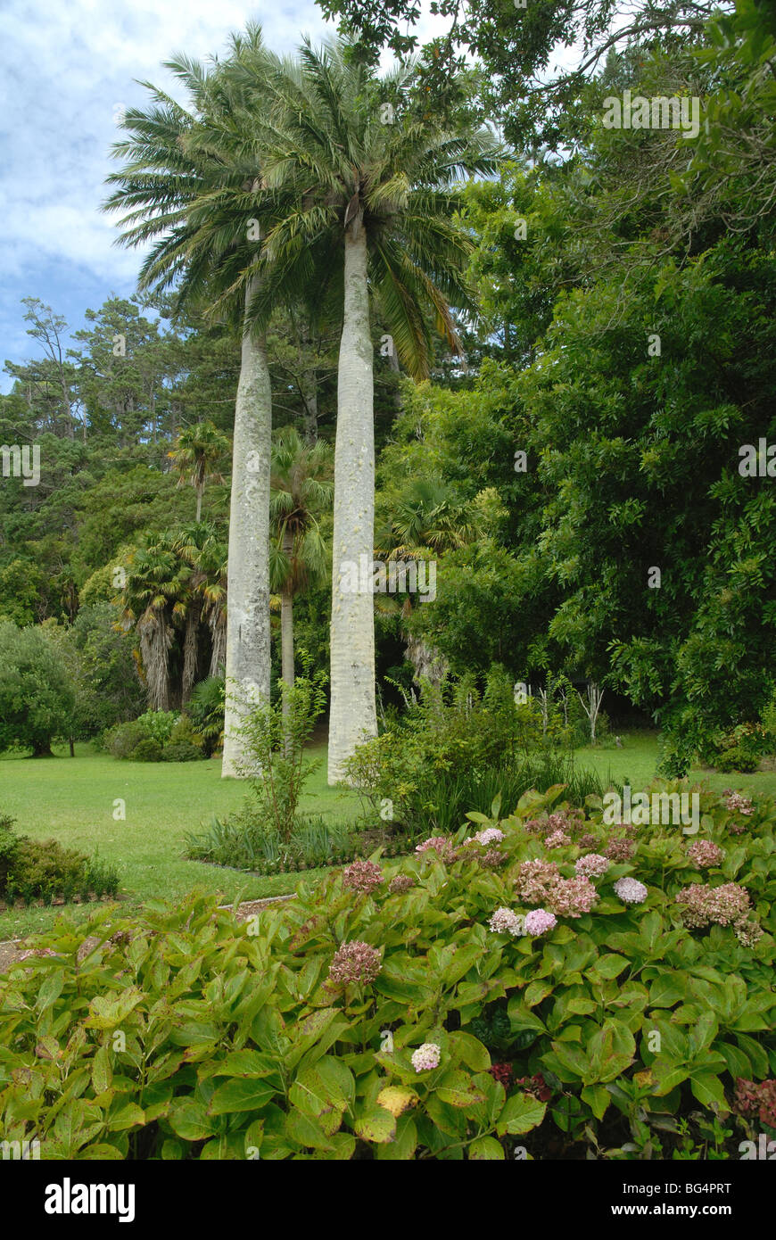 The garden of the Mansion House, Kawau Island, New Zealand Stock Photo ...